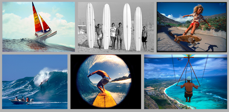 Steve Wilkings Photography